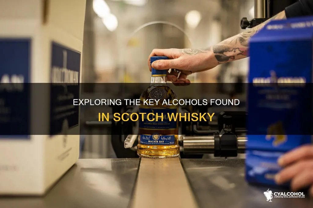 Exploring The Key Alcohols Found In Scotch Whisky | CyAlcohol