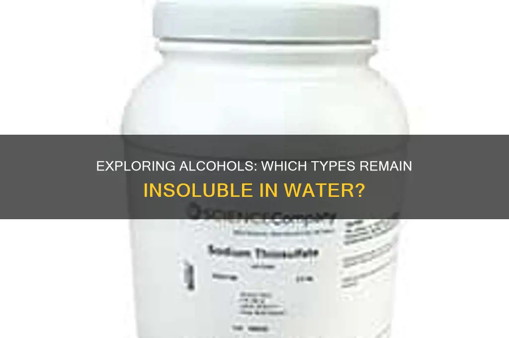 Exploring Alcohols: Which Types Remain Insoluble In Water? | CyAlcohol