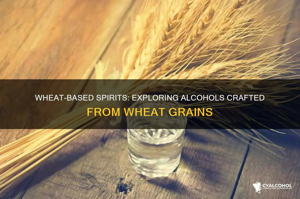 Wheat-Based Spirits: Exploring Alcohols Crafted From Wheat Grains ...
