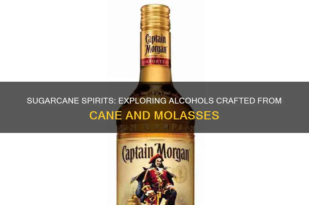 Sugarcane Spirits: Exploring Alcohols Crafted From Cane And Molasses ...