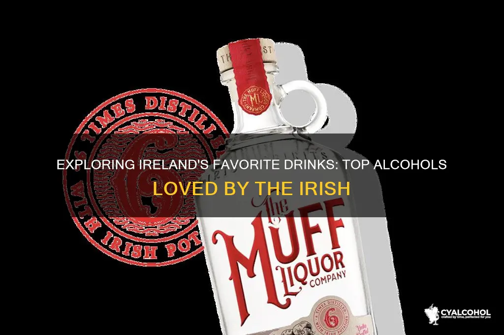 Exploring Ireland's Favorite Drinks: Top Alcohols Loved By The Irish ...