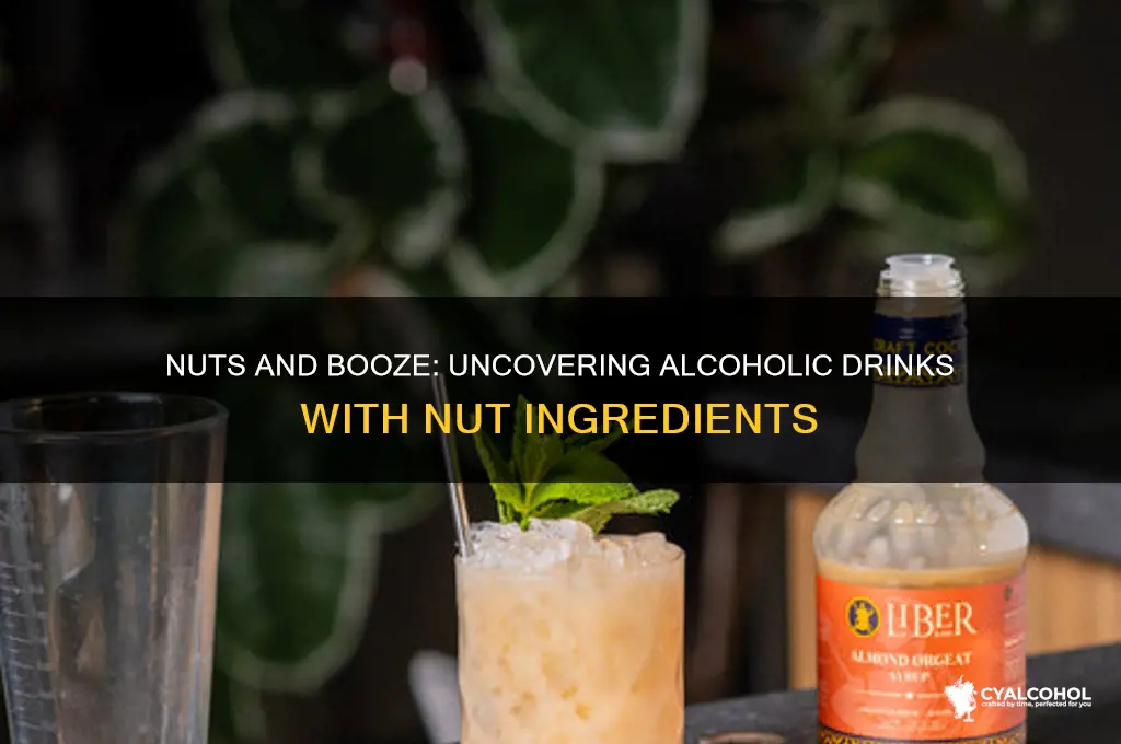 Nuts And Booze: Uncovering Alcoholic Drinks With Nut Ingredients ...