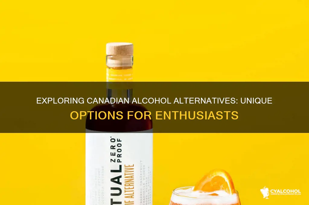 Exploring Canadian Alcohol Alternatives: Unique Options For Enthusiasts ...