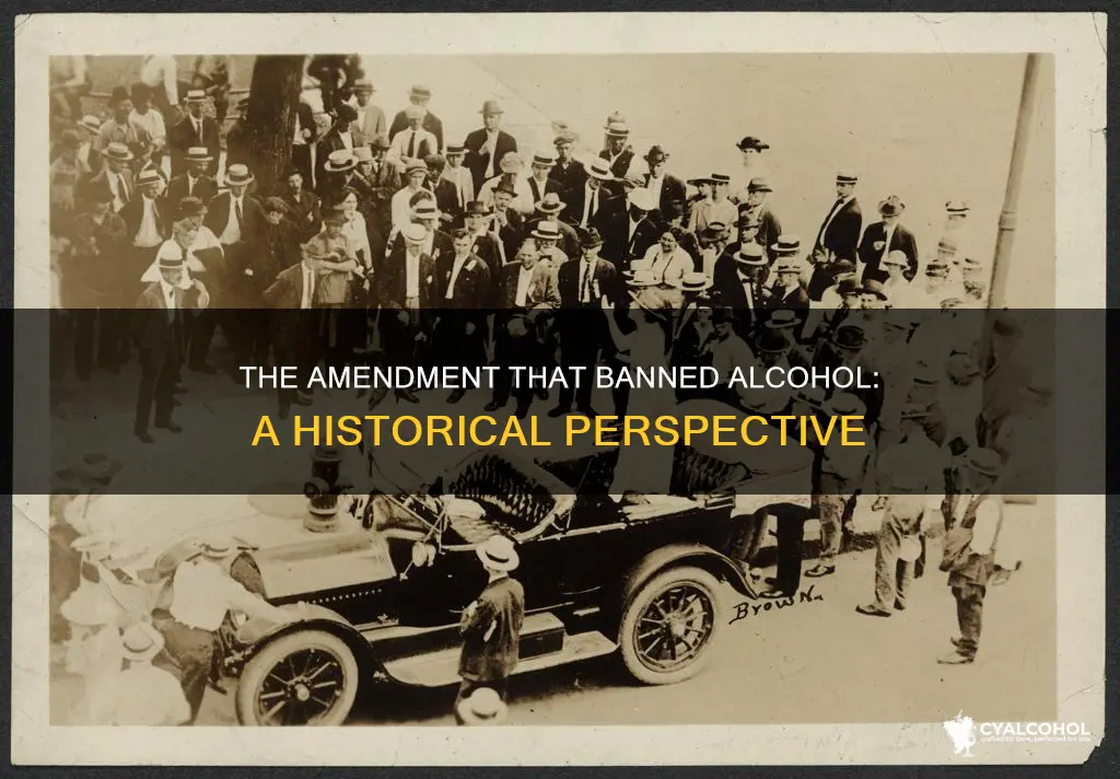 The Amendment That Banned Alcohol: A Historical Perspective | CyAlcohol