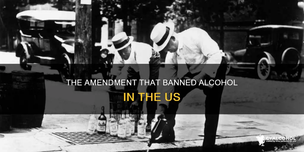 The Amendment That Banned Alcohol In The Us | CyAlcohol