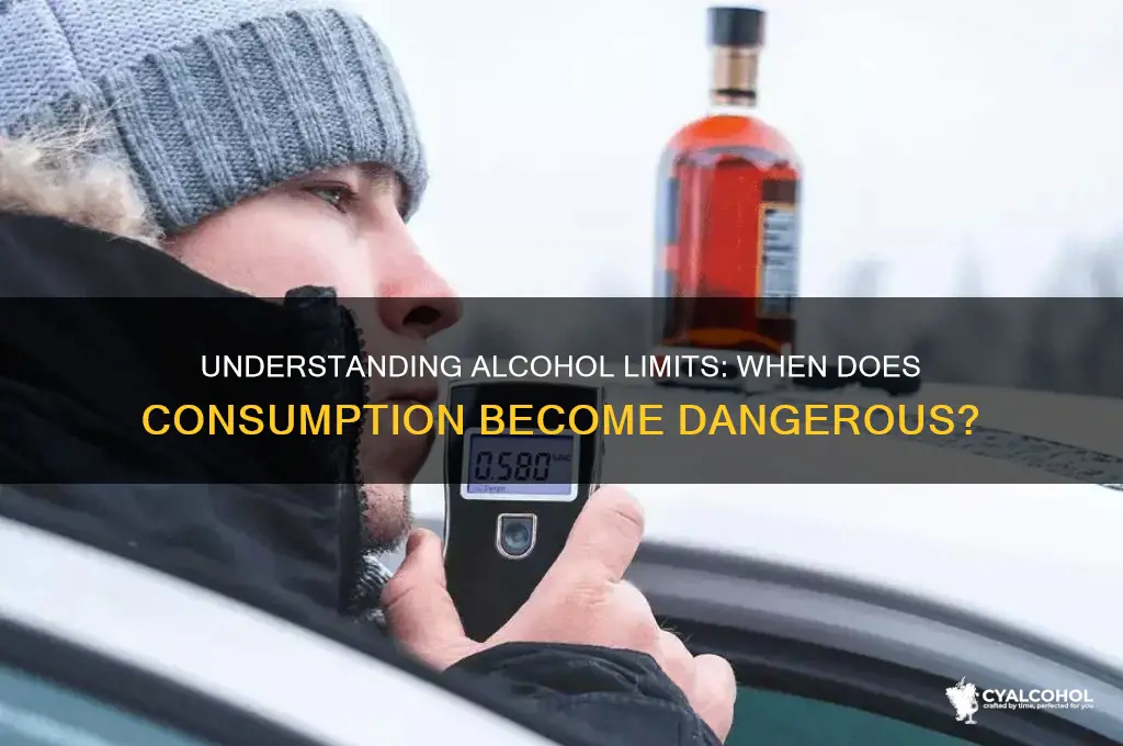 Understanding Alcohol Limits: When Does Consumption Become Dangerous ...