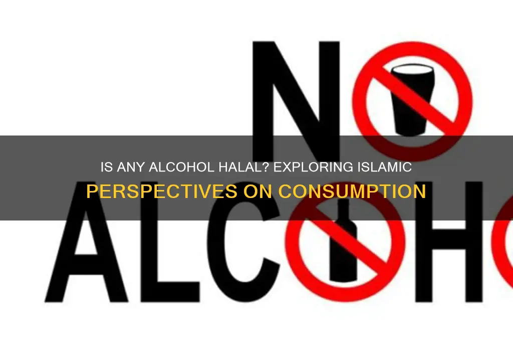 Is Any Alcohol Halal? Exploring Islamic Perspectives On Consumption ...