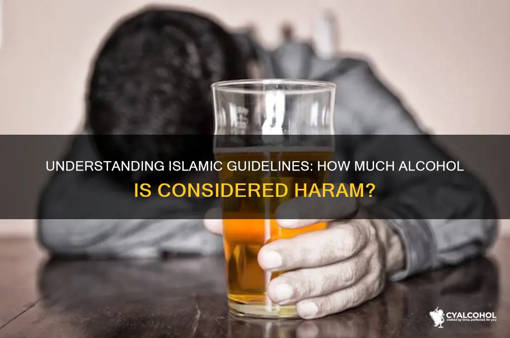 Understanding Islamic Guidelines: How Much Alcohol Is Considered Haram ...