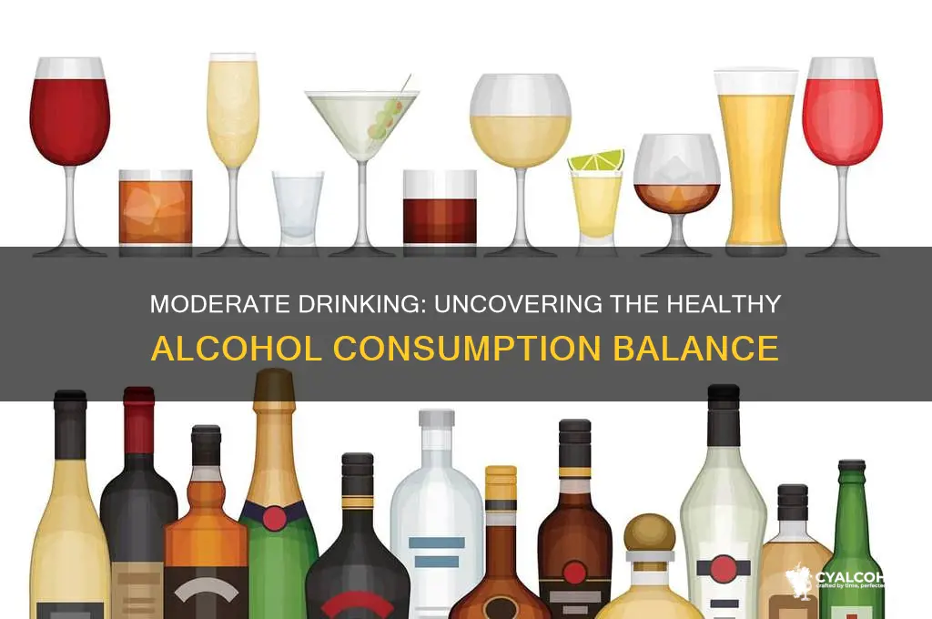 Moderate Drinking: Uncovering The Healthy Alcohol Consumption Balance ...