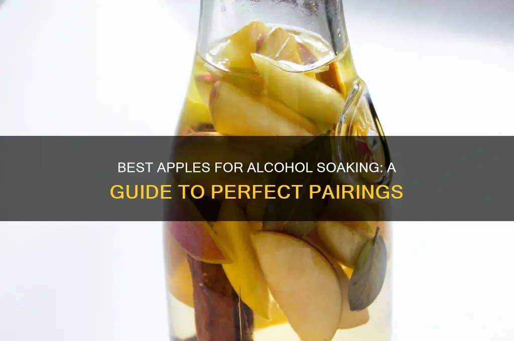 Best Apples For Alcohol Soaking: A Guide To Perfect Pairings | CyAlcohol