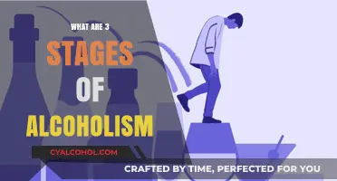 Understanding Alcoholism: The Three Stages Of Addiction Explained ...