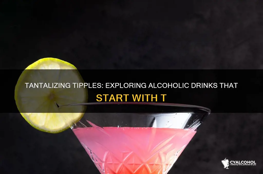 Tantalizing Tipples: Exploring Alcoholic Drinks That Start With T ...