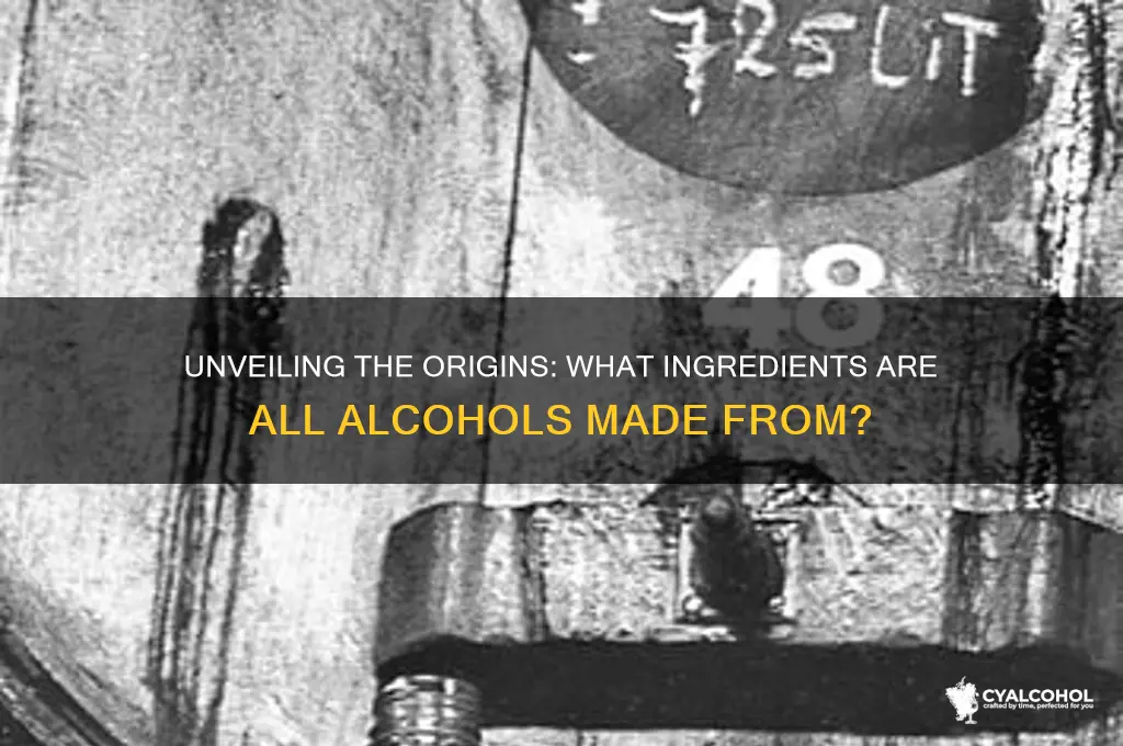Unveiling The Origins: What Ingredients Are All Alcohols Made From ...