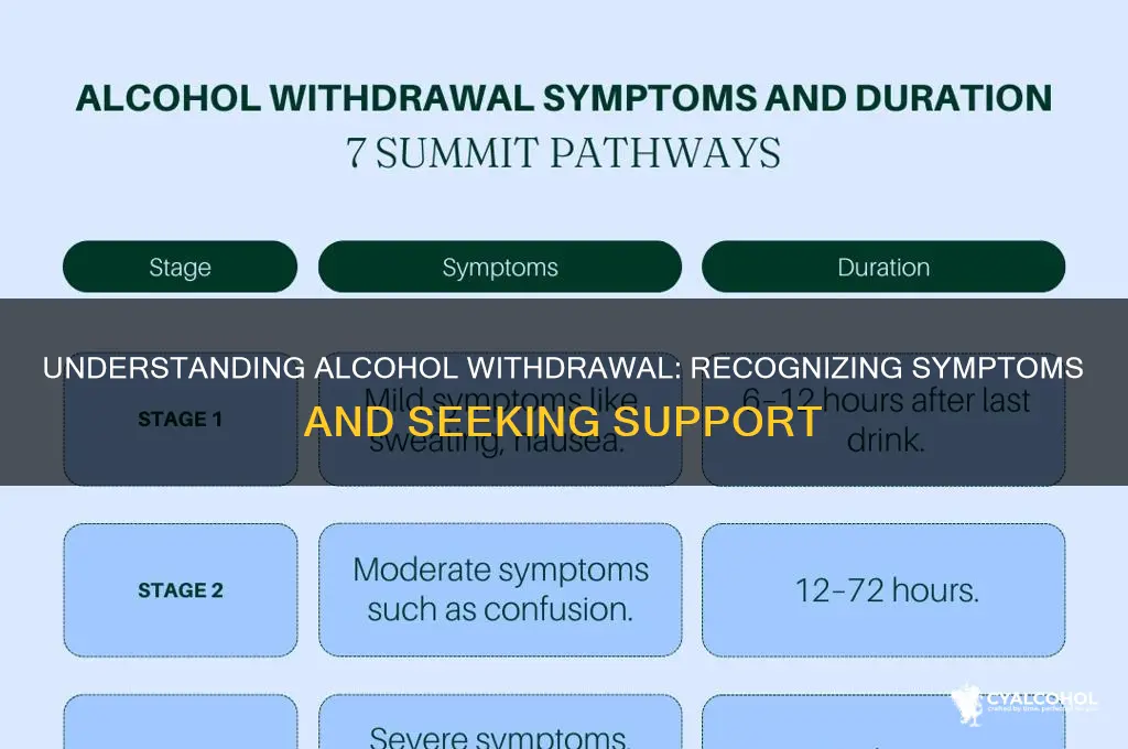 Understanding Alcohol Withdrawal: Recognizing Symptoms And Seeking ...