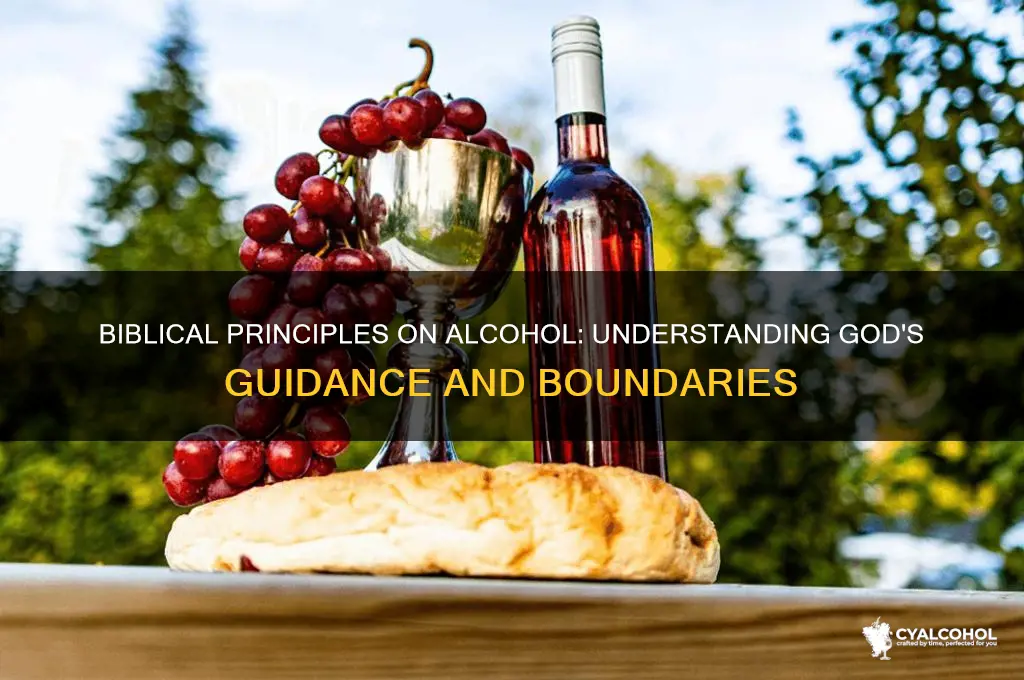 Biblical Principles On Alcohol: Understanding God's Guidance And ...