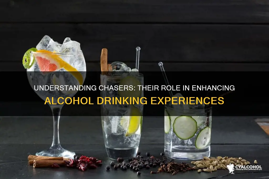 Understanding Chasers: Their Role In Enhancing Alcohol Drinking ...