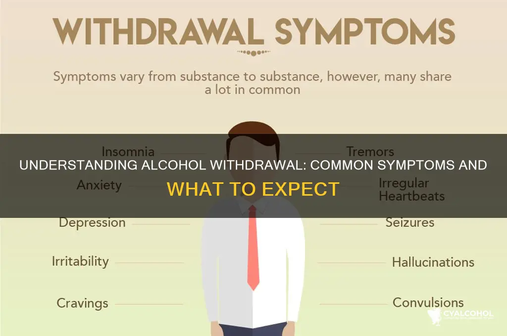 Understanding Alcohol Withdrawal: Common Symptoms And What To Expect ...