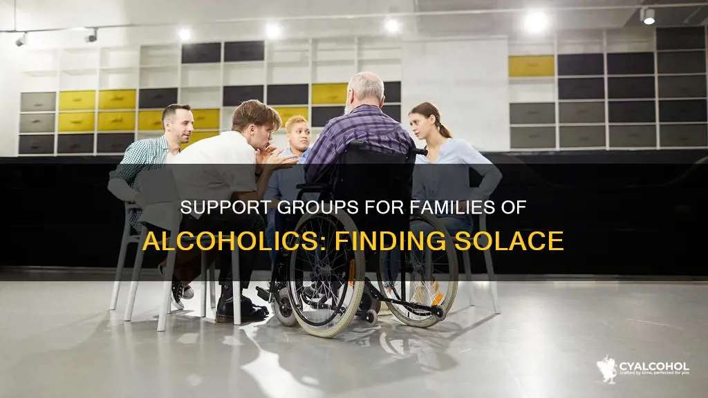 Support Groups For Families Of Alcoholics: Finding Solace | CyAlcohol