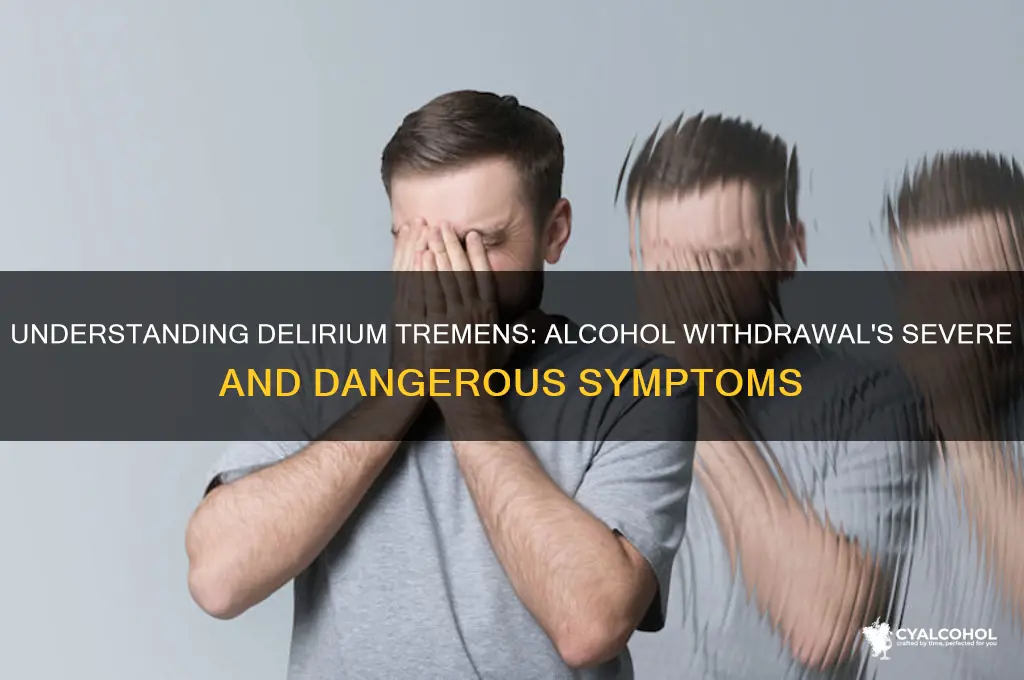 Understanding Delirium Tremens: Alcohol Withdrawal's Severe And ...