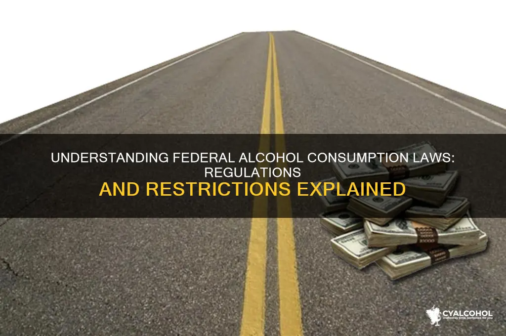 Understanding Federal Alcohol Consumption Laws: Regulations And ...