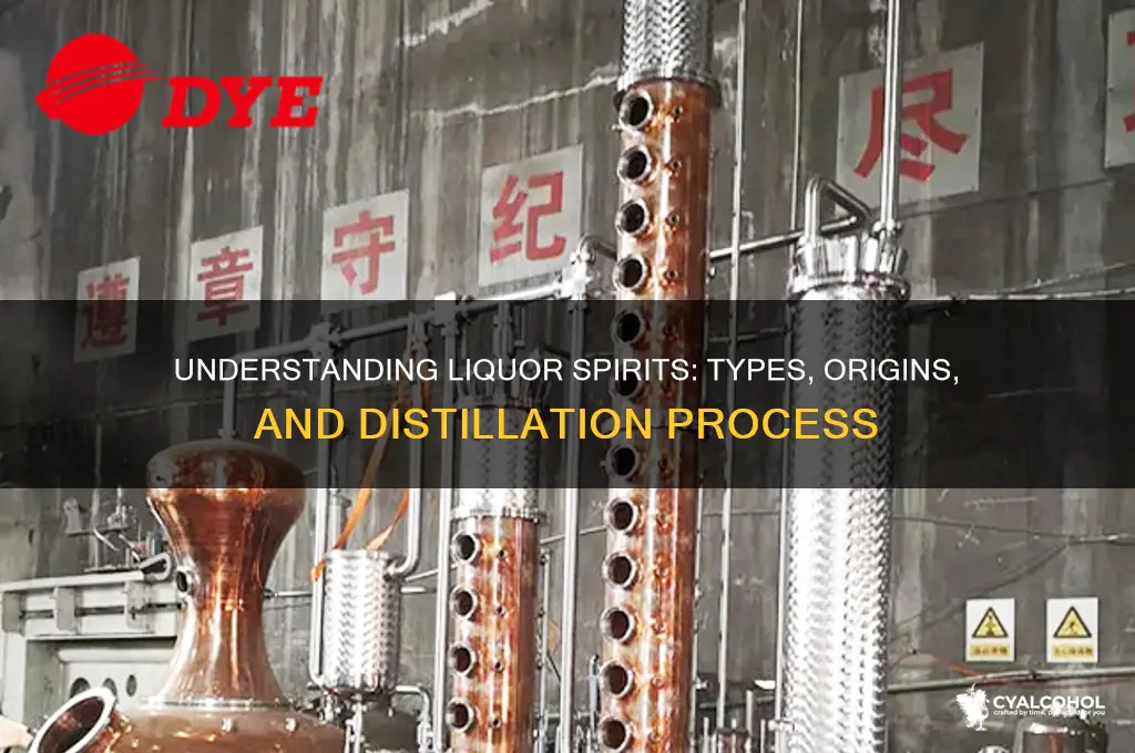 Understanding Liquor Spirits: Types, Origins, And Distillation Process ...