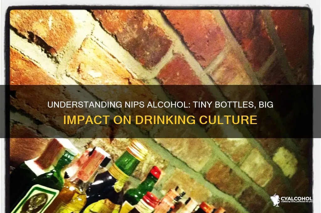 Understanding Nips Alcohol: Tiny Bottles, Big Impact On Drinking ...
