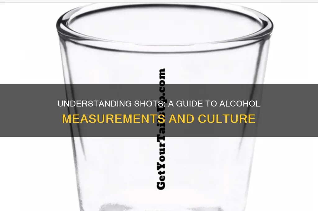 Understanding Shots: A Guide To Alcohol Measurements And Culture ...
