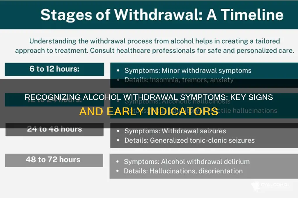 Recognizing Alcohol Withdrawal Symptoms: Key Signs And Early Indicators ...