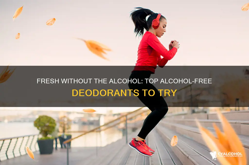Fresh Without The Alcohol: Top Alcohol-Free Deodorants To Try | CyAlcohol