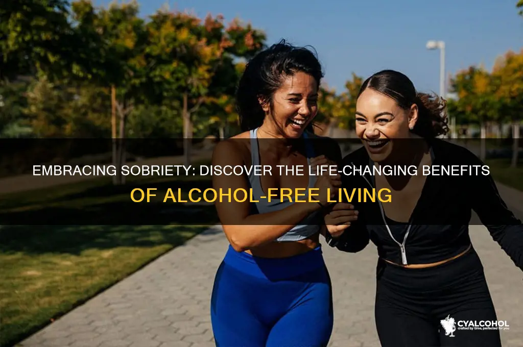 Embracing Sobriety: Discover The Life-Changing Benefits Of Alcohol-Free ...