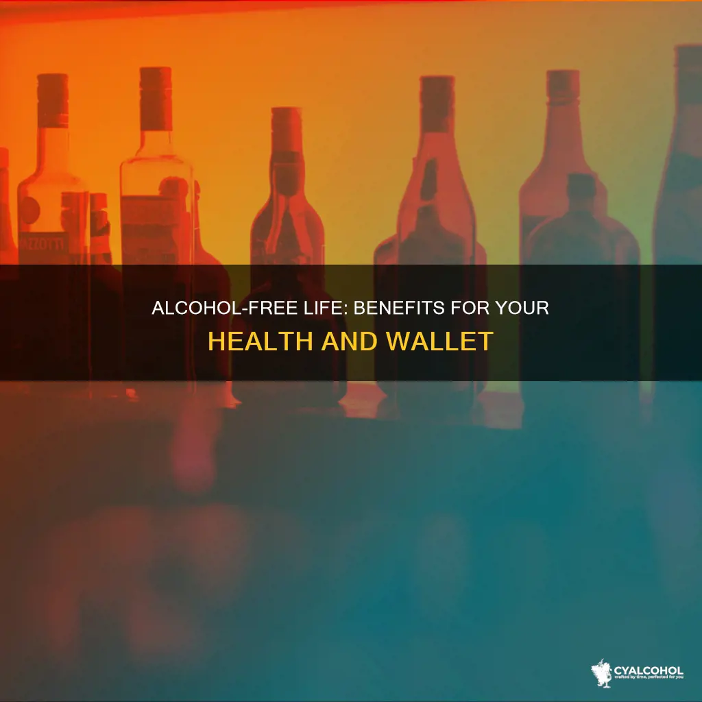 Alcohol-Free Life: Benefits For Your Health And Wallet | CyAlcohol