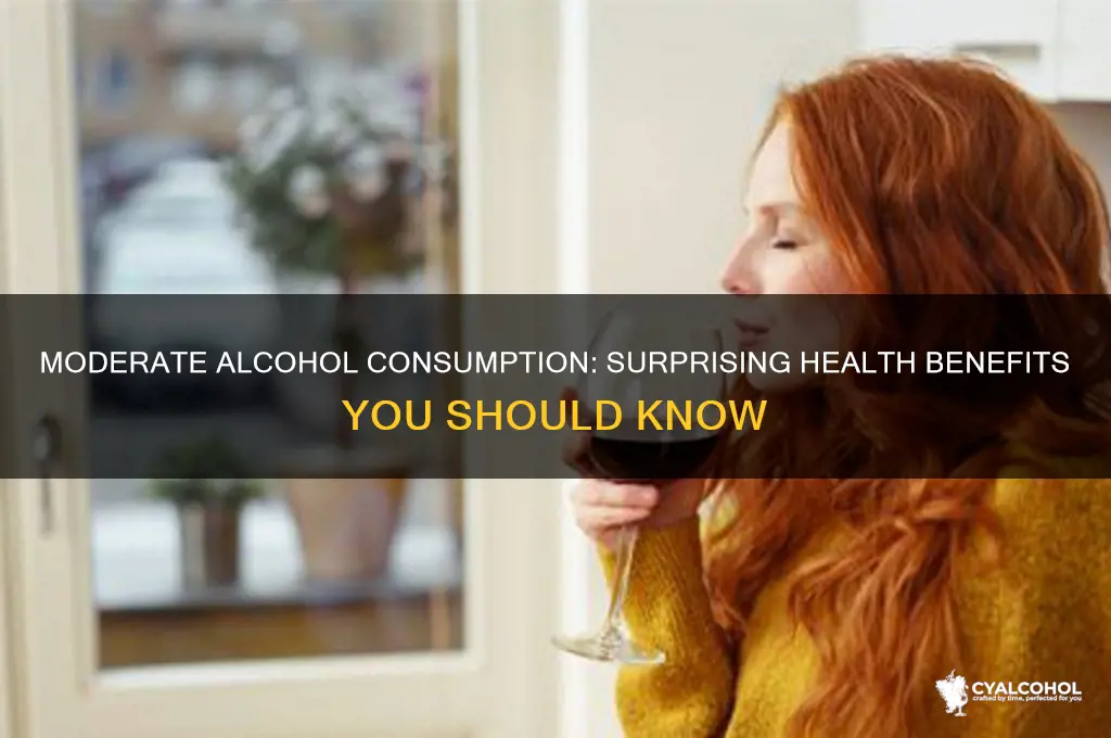Moderate Alcohol Consumption: Surprising Health Benefits You Should ...