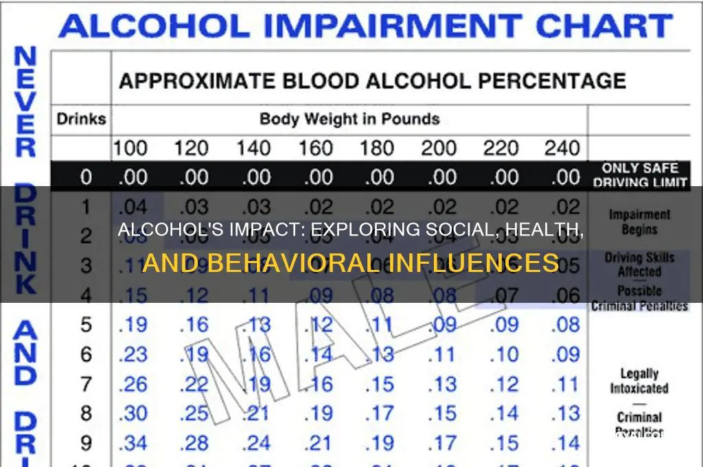 Alcohol's Impact: Exploring Social, Health, And Behavioral Influences ...