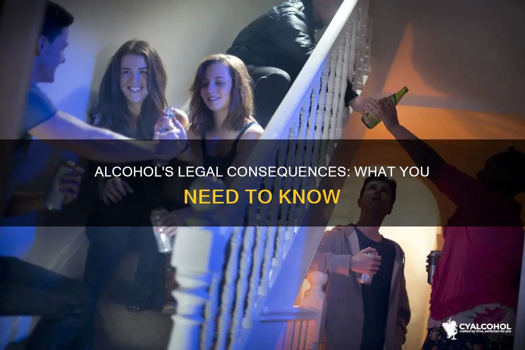 Alcohol's Legal Consequences: What You Need To Know | CyAlcohol