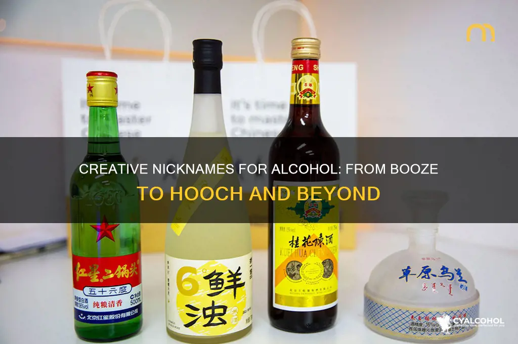 Creative Nicknames For Alcohol: From Booze To Hooch And Beyond | CyAlcohol