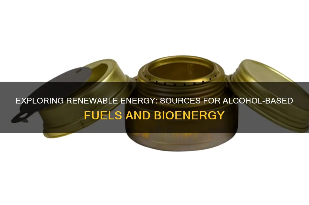 Exploring Renewable Energy: Sources For Alcohol-Based Fuels And ...
