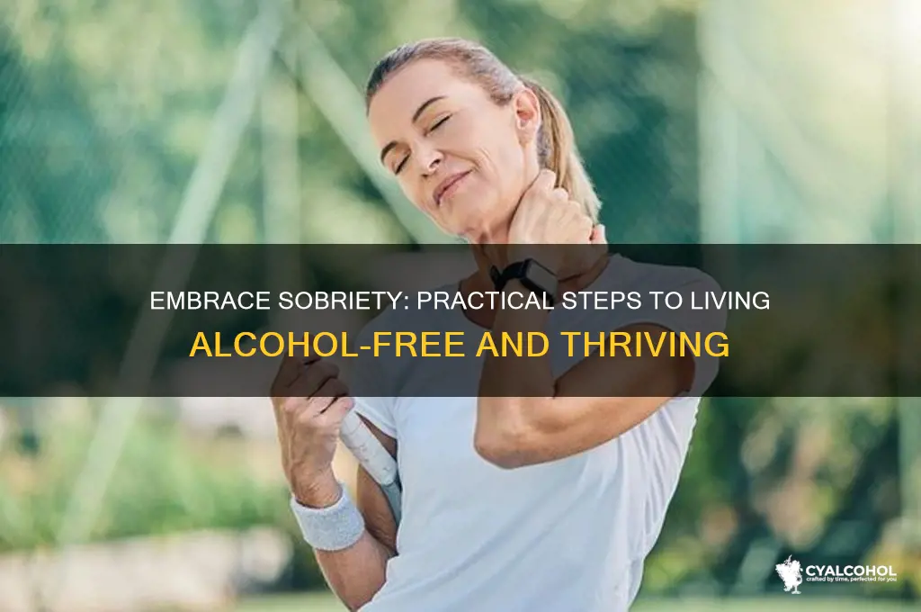 Embrace Sobriety: Practical Steps To Living Alcohol-Free And Thriving ...
