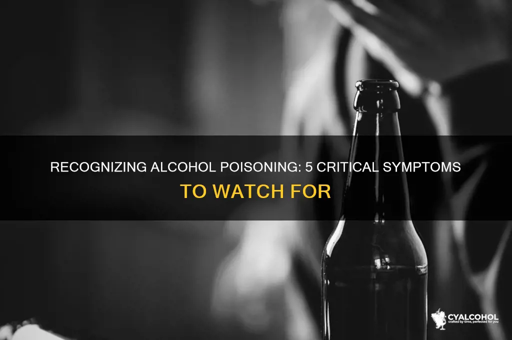 Recognizing Alcohol Poisoning: 5 Critical Symptoms To Watch For | CyAlcohol
