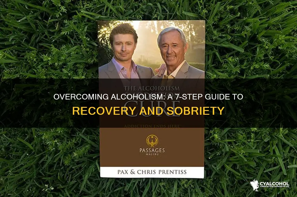 Overcoming Alcoholism: A 7-Step Guide To Recovery And Sobriety | CyAlcohol