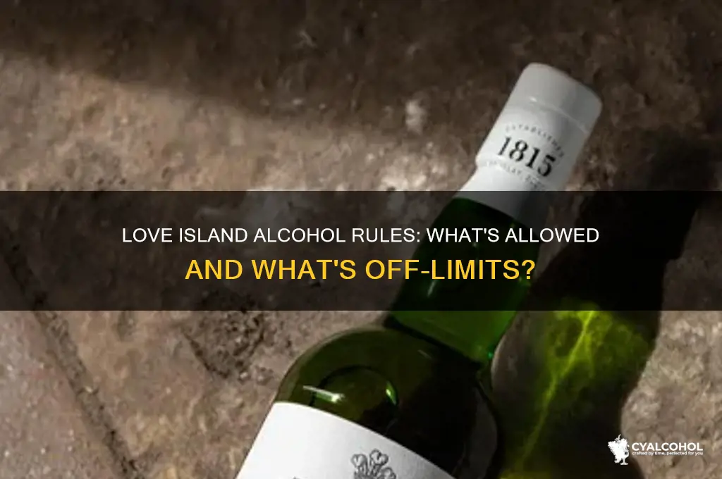 Love Island Alcohol Rules: What's Allowed And What's Off-Limits ...
