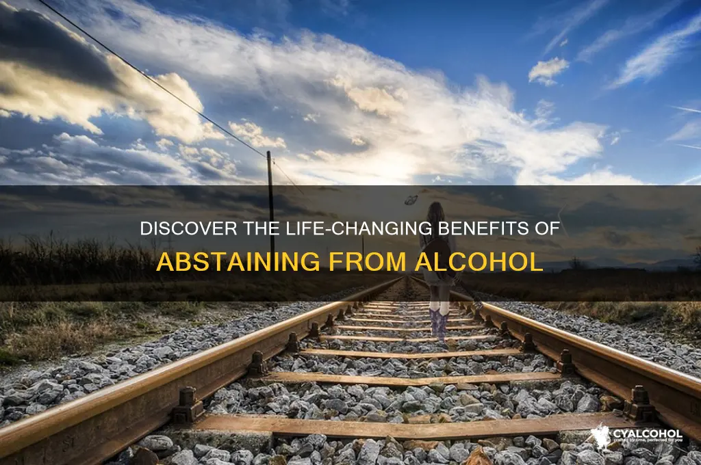 Discover The Life-Changing Benefits Of Abstaining From Alcohol | CyAlcohol