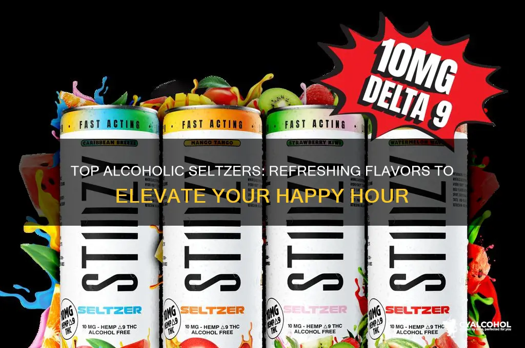Top Alcoholic Seltzers: Refreshing Flavors To Elevate Your Happy Hour ...