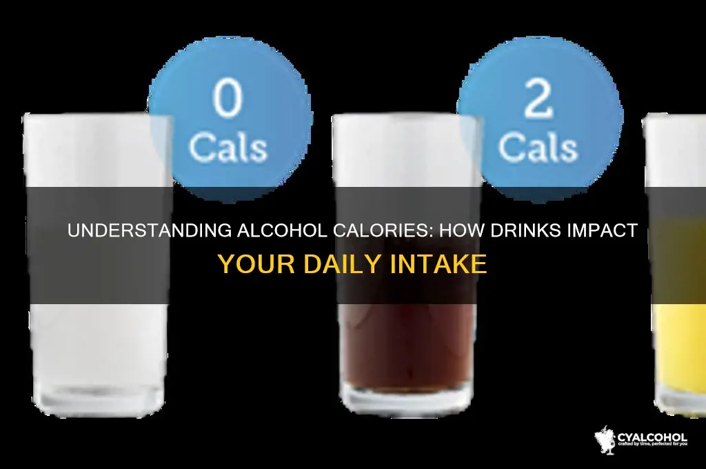 Understanding Alcohol Calories: How Drinks Impact Your Daily Intake ...