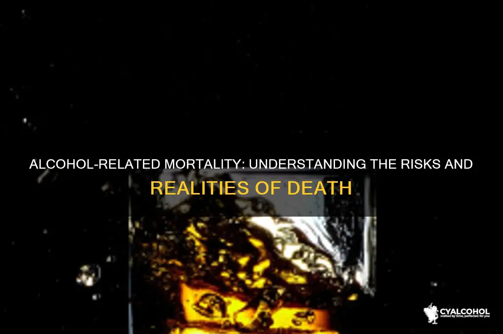 Alcohol-Related Mortality: Understanding The Risks And Realities Of ...