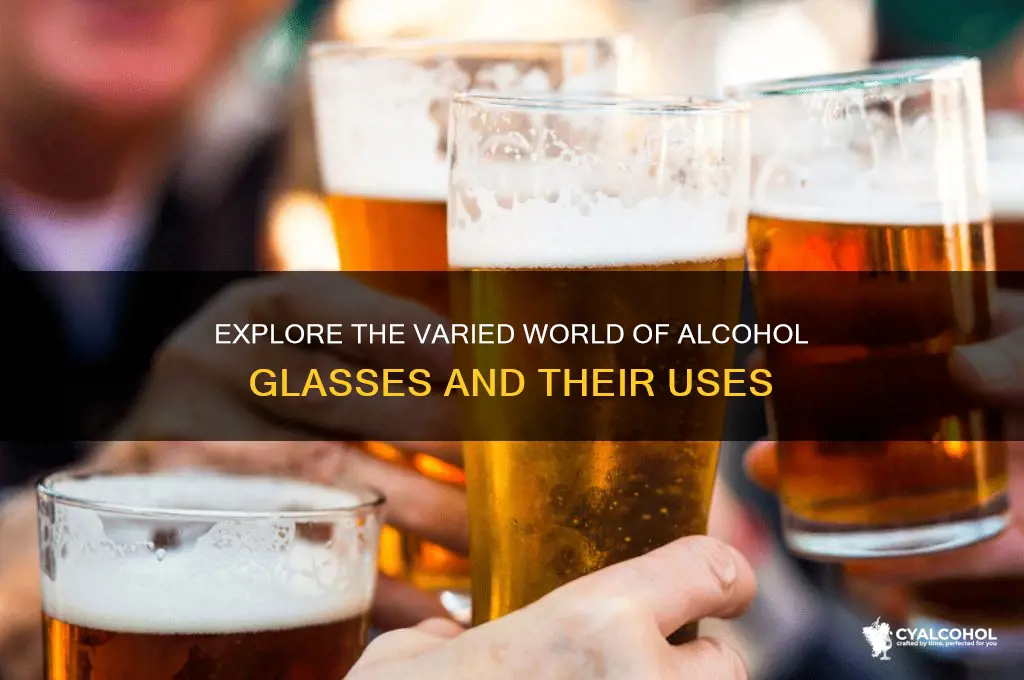 Explore The Varied World Of Alcohol Glasses And Their Uses | CyAlcohol