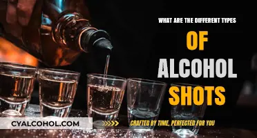 Exploring Alcohol Bottle Sizes: From Miniatures To Large Formats ...