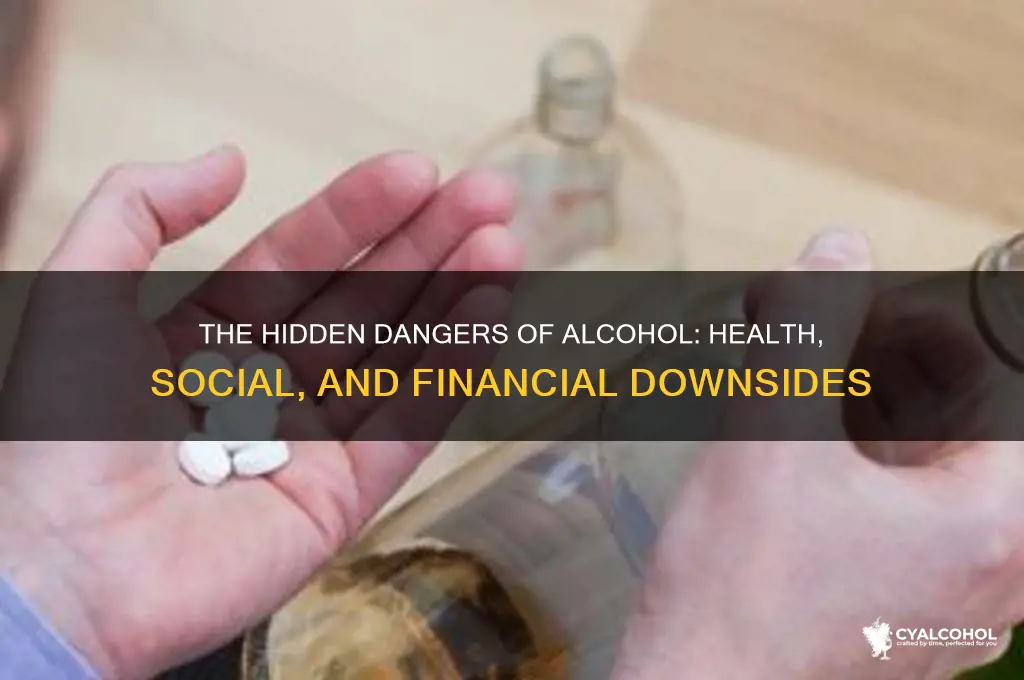 The Hidden Dangers Of Alcohol: Health, Social, And Financial Downsides ...