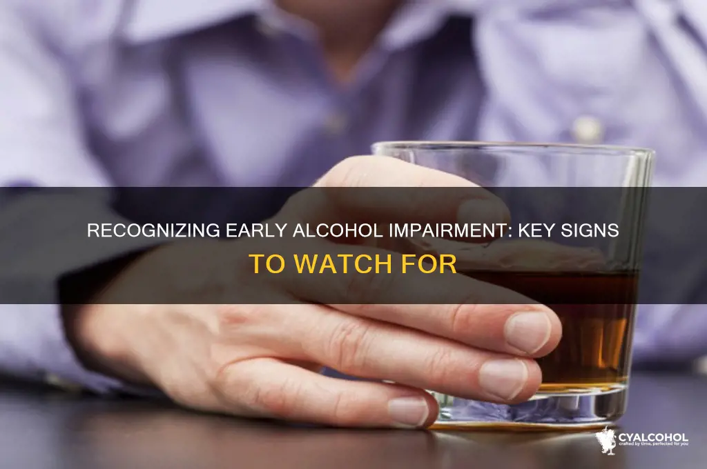 Recognizing Early Alcohol Impairment: Key Signs To Watch For | CyAlcohol