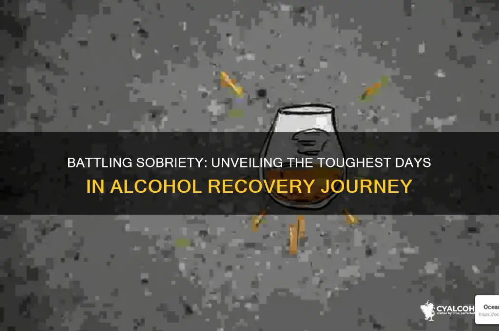 Battling Sobriety: Unveiling The Toughest Days In Alcohol Recovery ...
