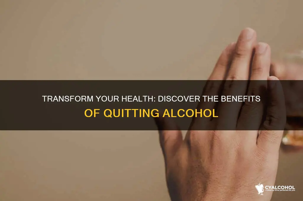 Transform Your Health: Discover The Benefits Of Quitting Alcohol ...